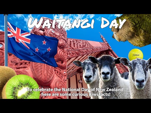Waitangi Day Memes Waitangi Day New Zealand Vintage Poster