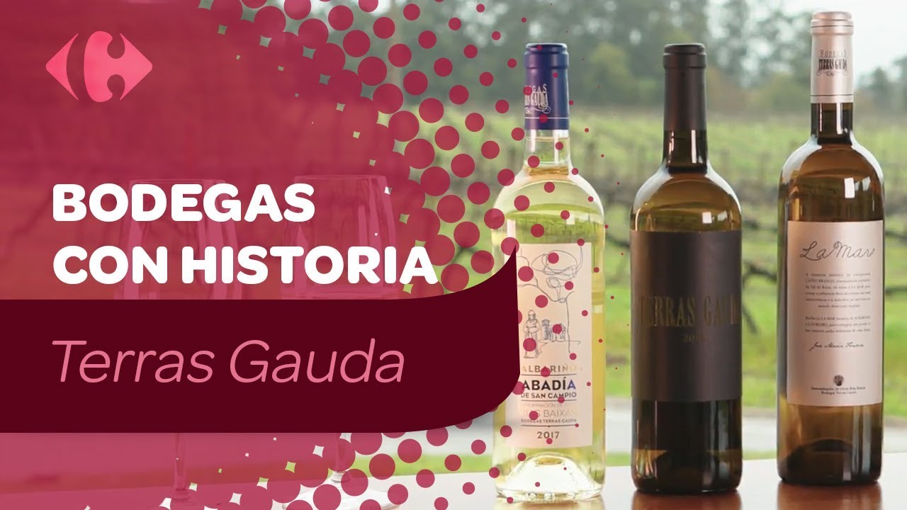 Bodega Terras Gauda - YouTube