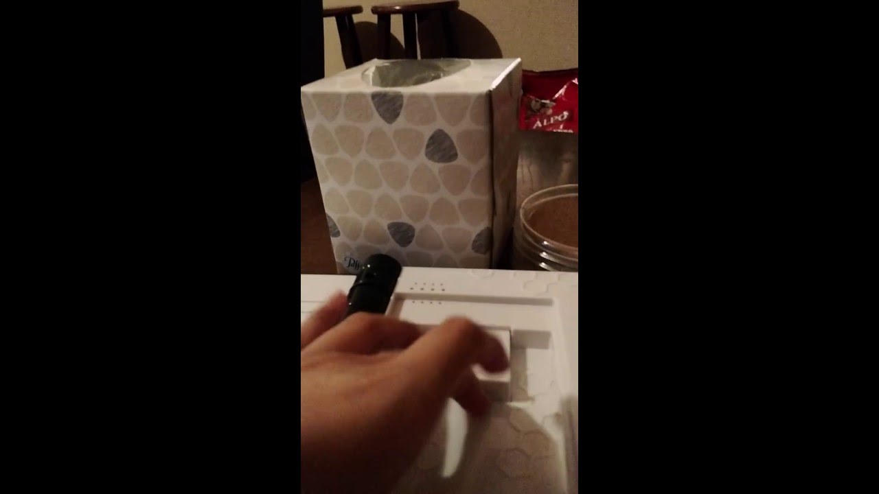 Reviewing the Project MC2 A.D.I.S.N Notebook - YouTube