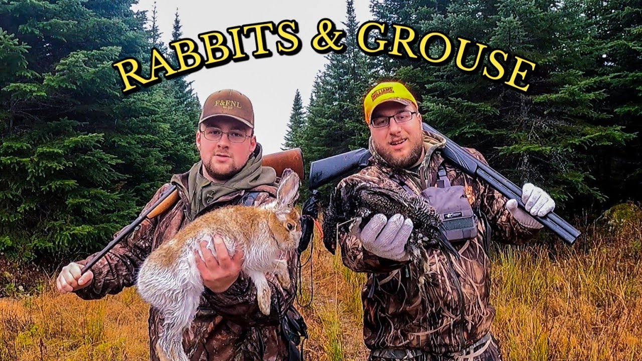 Hunting RABBITS & GROUSE In Newfoundland Woods! (& Tasty Moose Fry ...