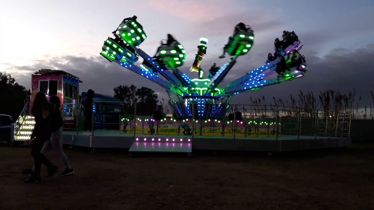 Grillo loco .....mura - YouTube