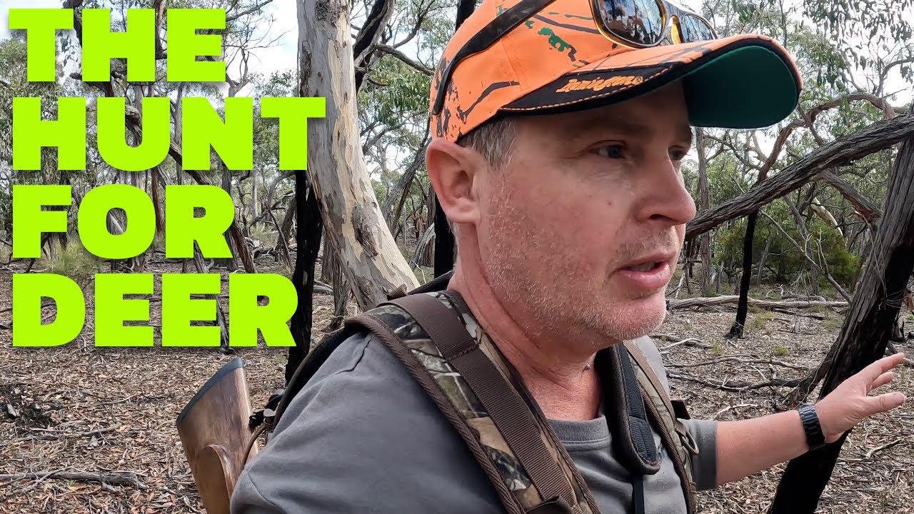Deer Hunting | Rocklands Reservoir | Free Camping - YouTube