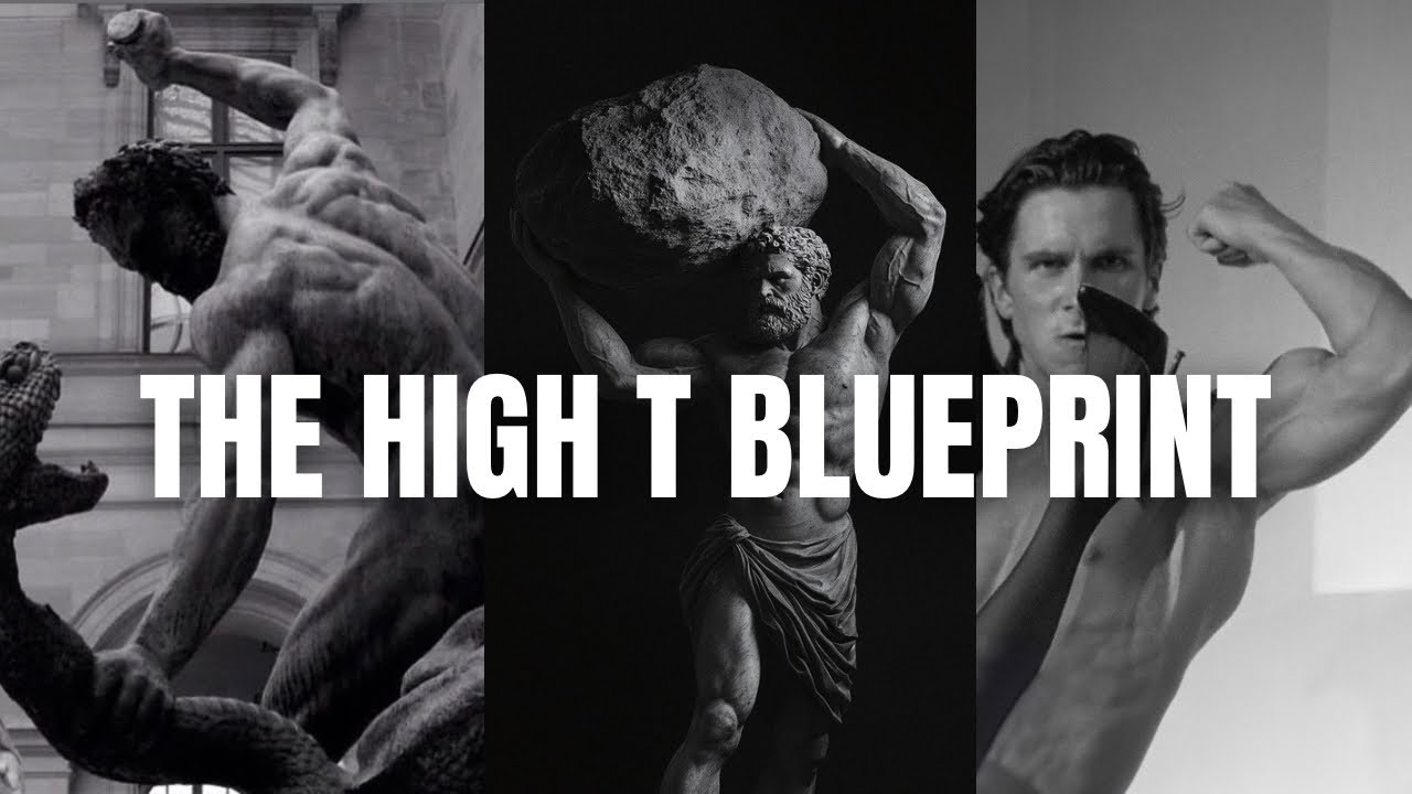 How To Build A High Testosterone Life (Complete Step-by-Step System ...