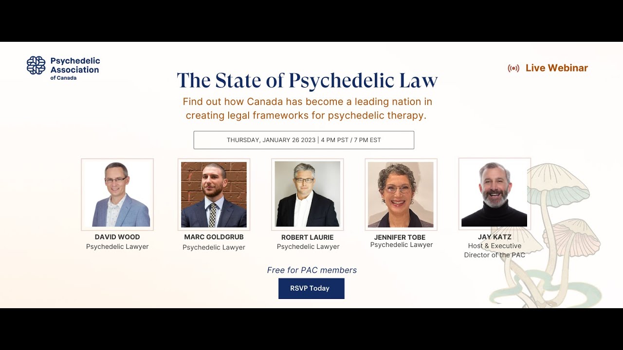 The State Of Psychedelic Law - YouTube