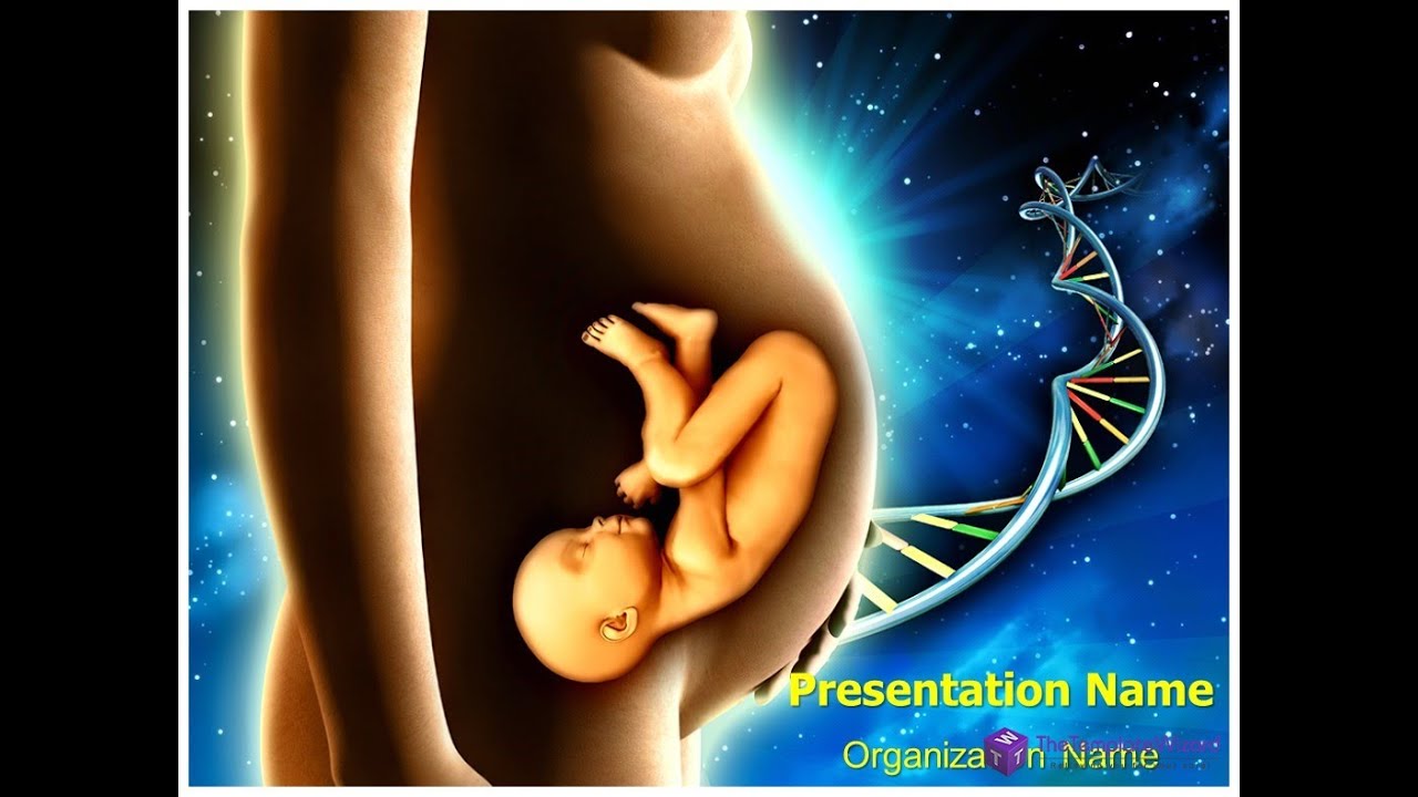Fetus in Womb PowerPoint Presentation Template - TheTemplateWizard.com ...