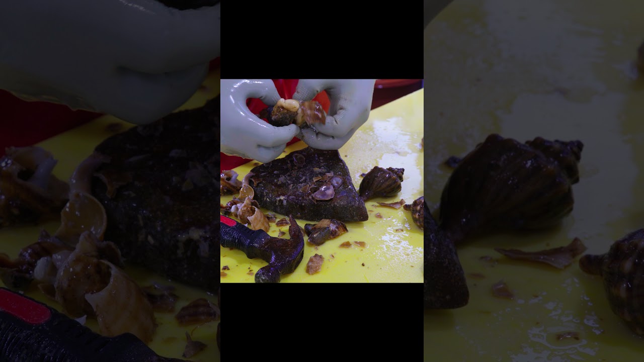 KOREAN STREET FOOD CONCH SHELLFISH SASHIMI POHANG SEAFOOD MARKET KOREA ...