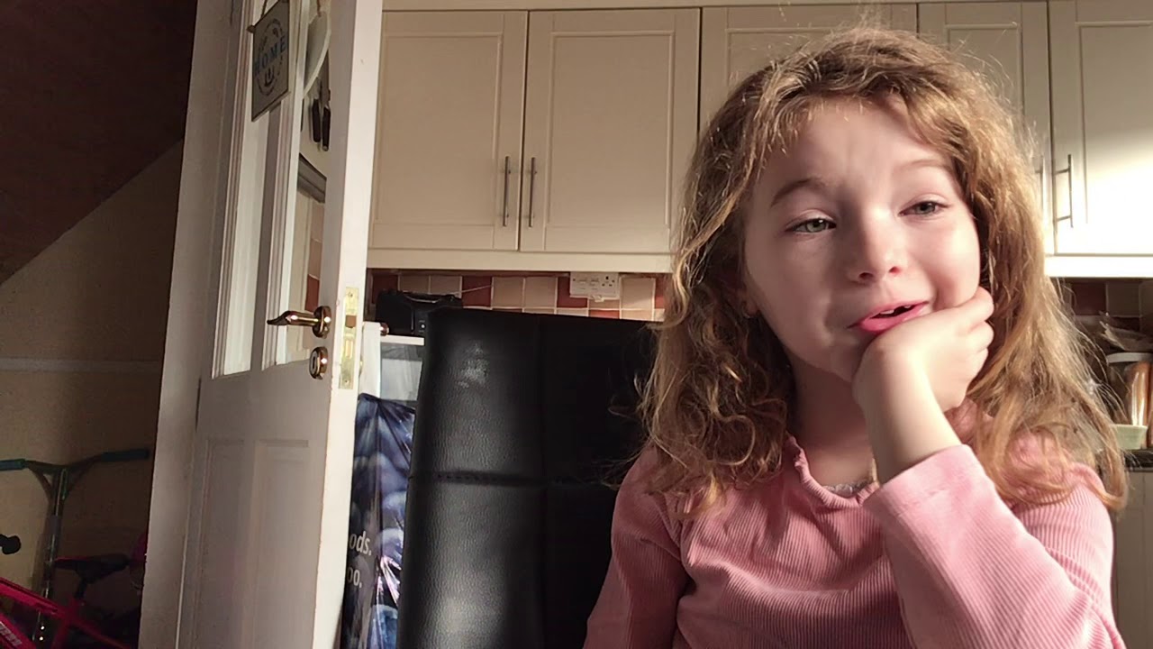 Meet the beanie boos book - YouTube