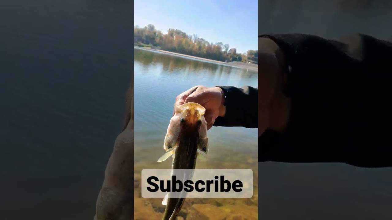 Release in Lake RedMan - YouTube