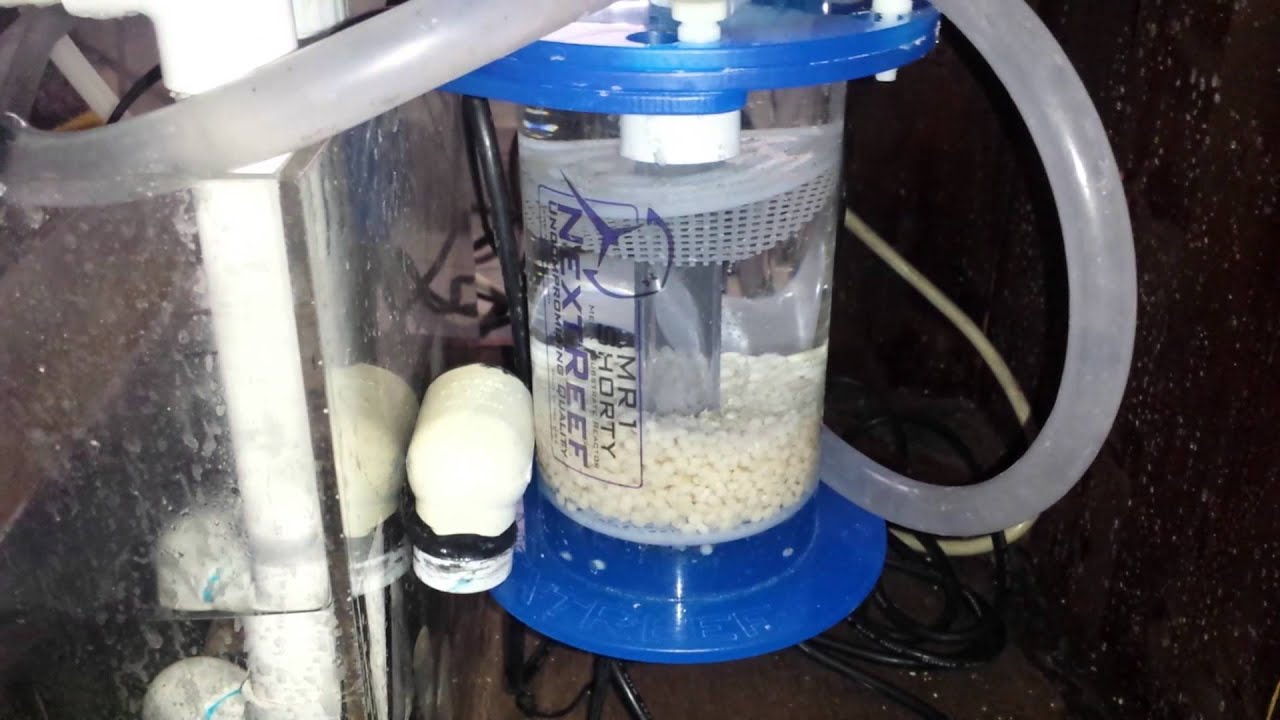 Shorty mr1 reactor movement - YouTube
