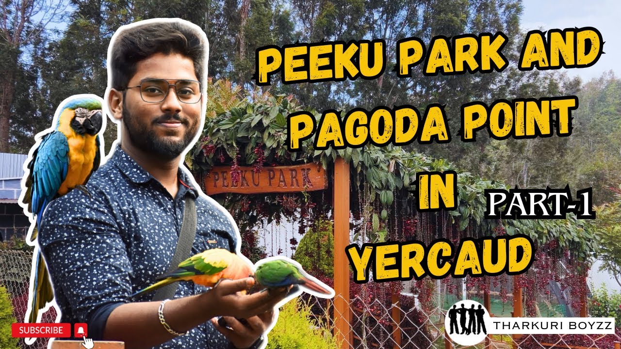 Peeku Park in Yercaud🤩// Pagoda Point Full View😍//Salem Night View😱 ...