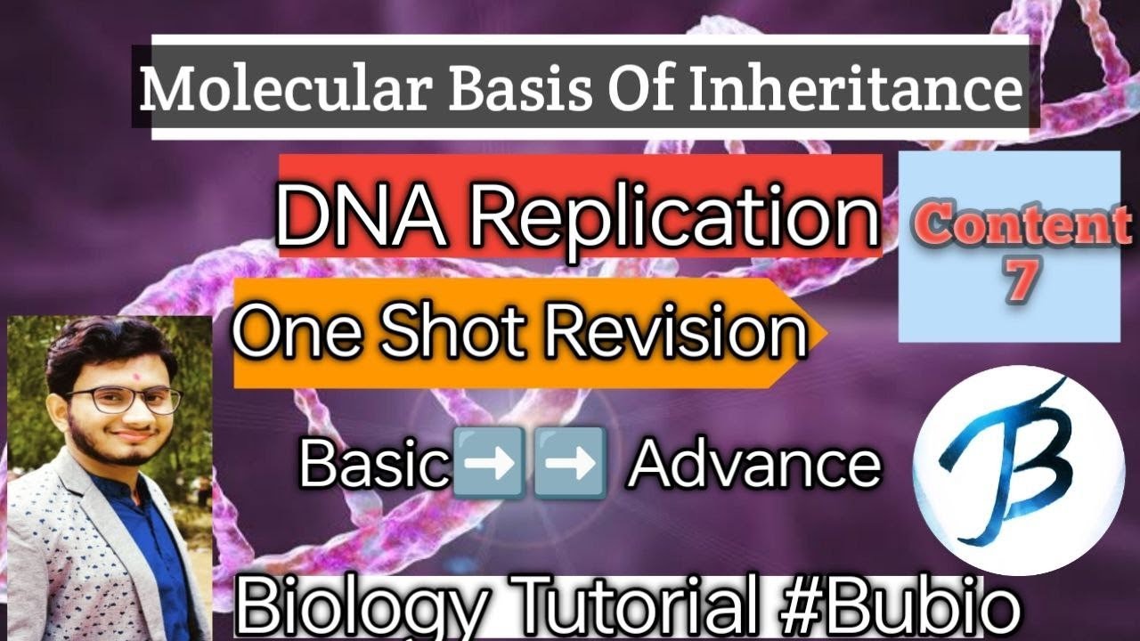 Molecularbasisofinheritance Mbi Replica Replication Classxiincert 0023