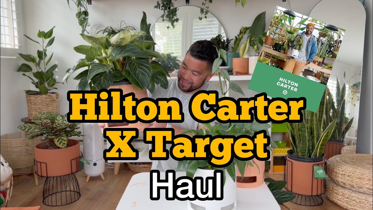Hilton Carter x Target Haul - YouTube