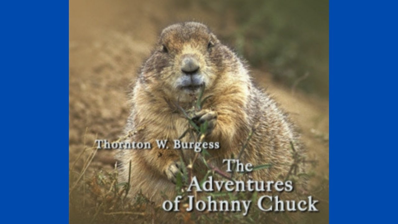 The Adventures of Johnny Chuck | Audiobook | Thornton W. Burgess - YouTube