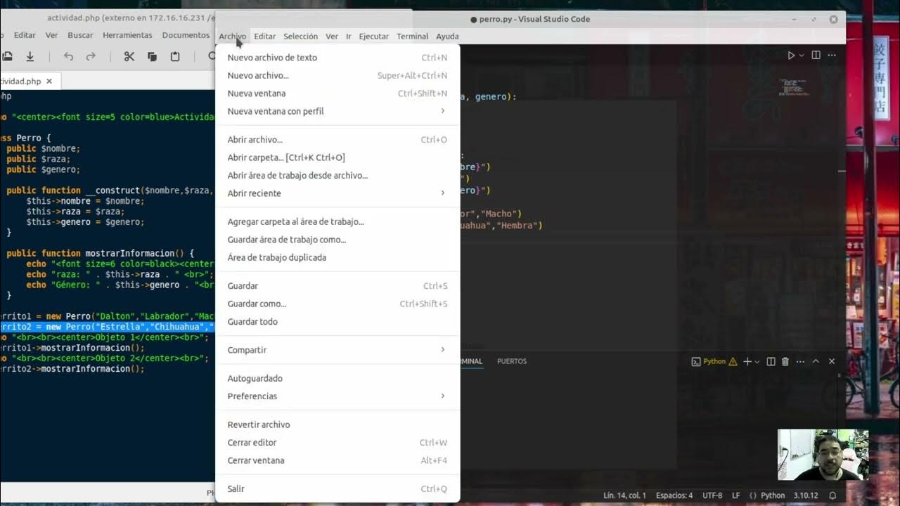 Actividad 2 T3 de Programación orientada a objetos - Python - YouTube