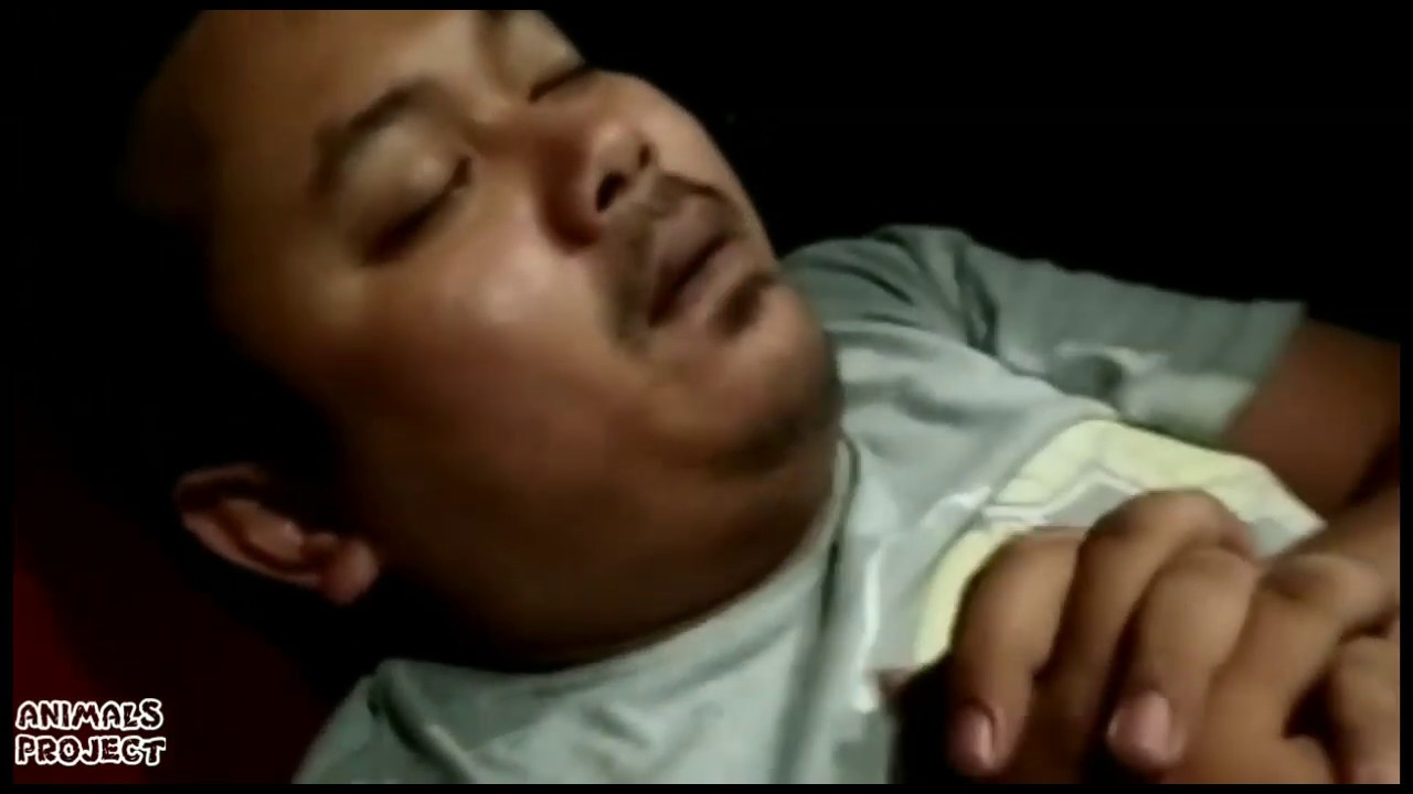 Kumpulan Tidur Ngorok Paling Aneh Part 1 Youtube