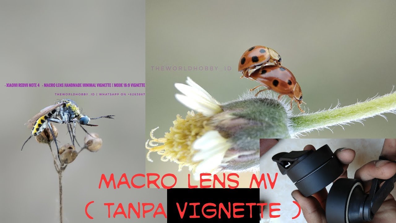 Lensbong macro , macro lens tanpa vignette ( mv lens ) - YouTube