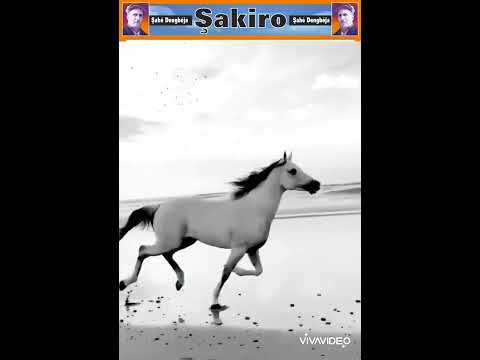 Şakiro\