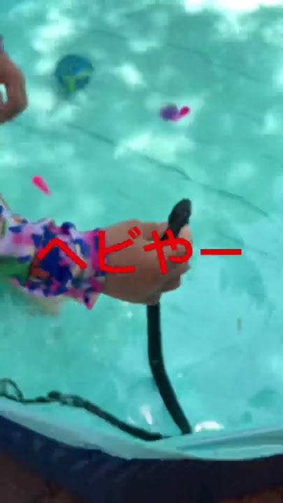 ヘビやー!逃げろー🐍 Youtube