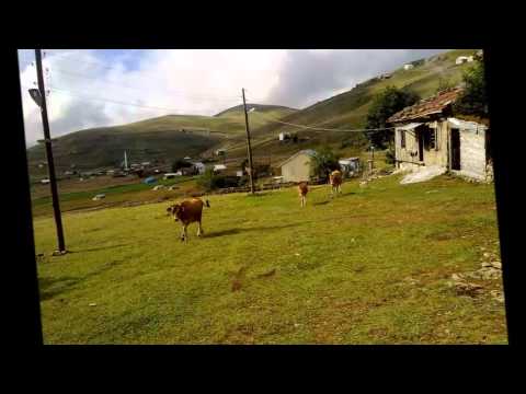 deniz kokulu  memleketim