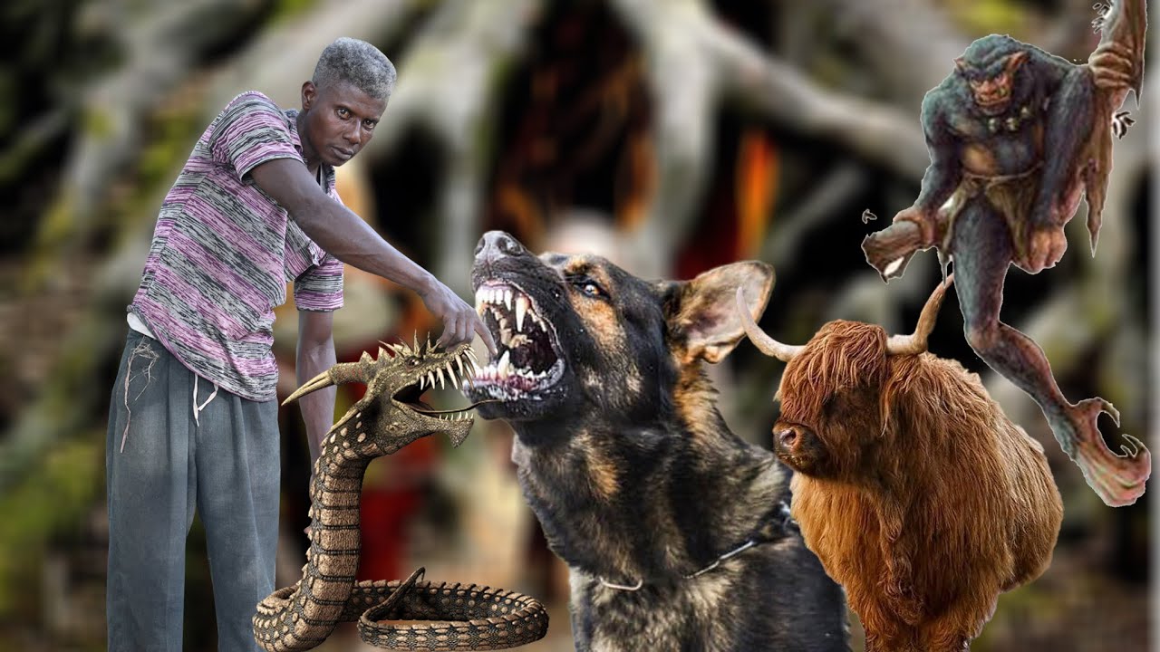 SC@RY STORY OF A GHANAIAN HUNTER. HUNTER NARRATES HOW HE MET RIVER ...