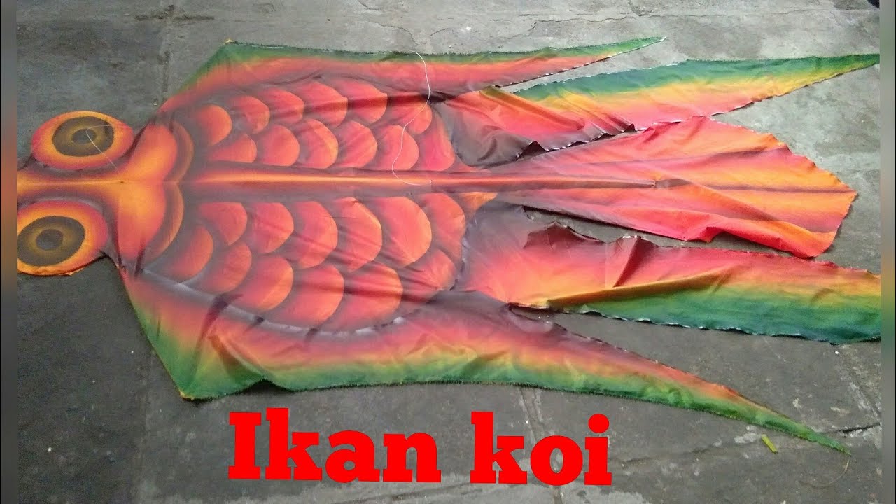 Layangan ikan masuk ke rumah - YouTube