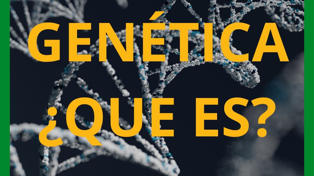 ¿QUÉ ES LA GENÉTICA? Y SU IMPORTANCIA - YouTube