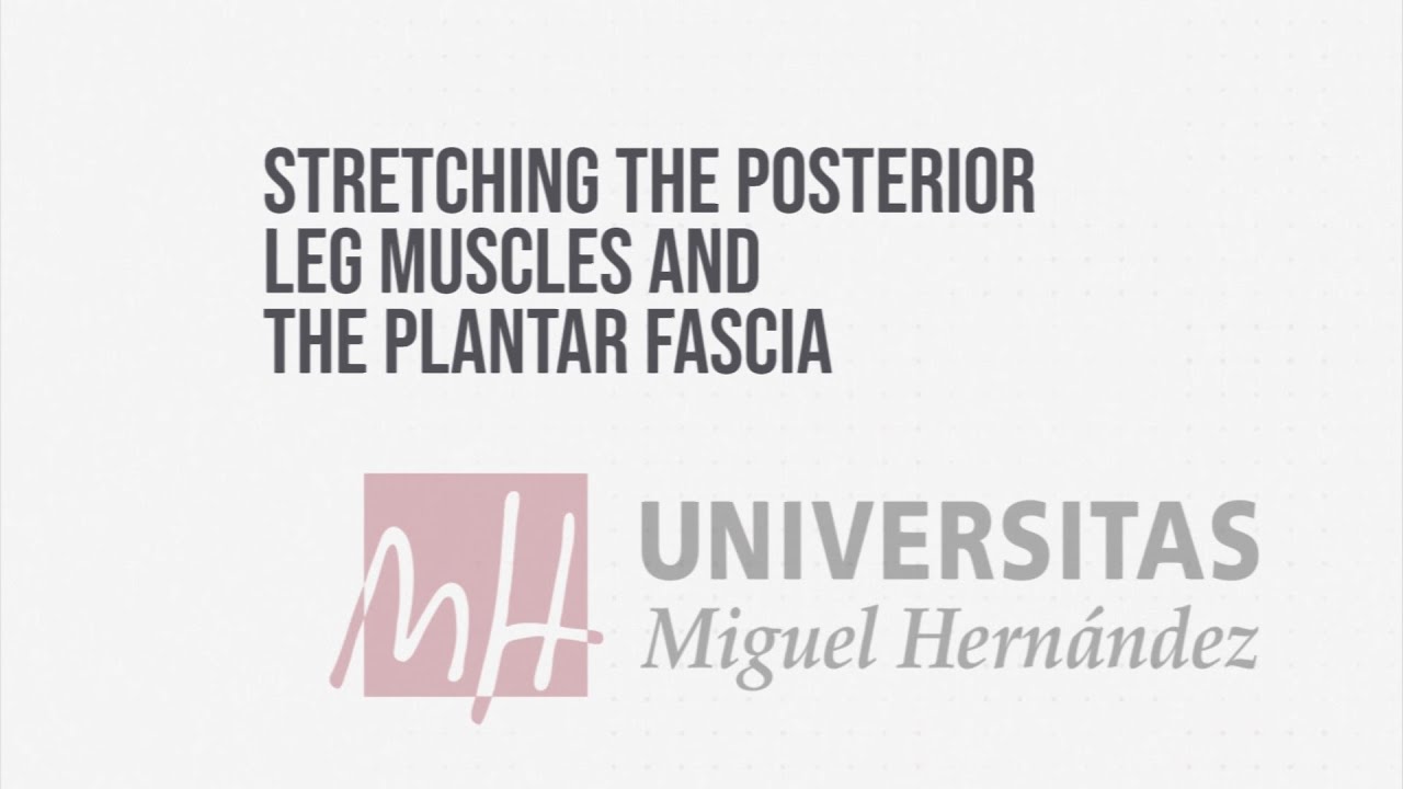 1. Stretching the posterior leg muscles and the plantar fascia # ...