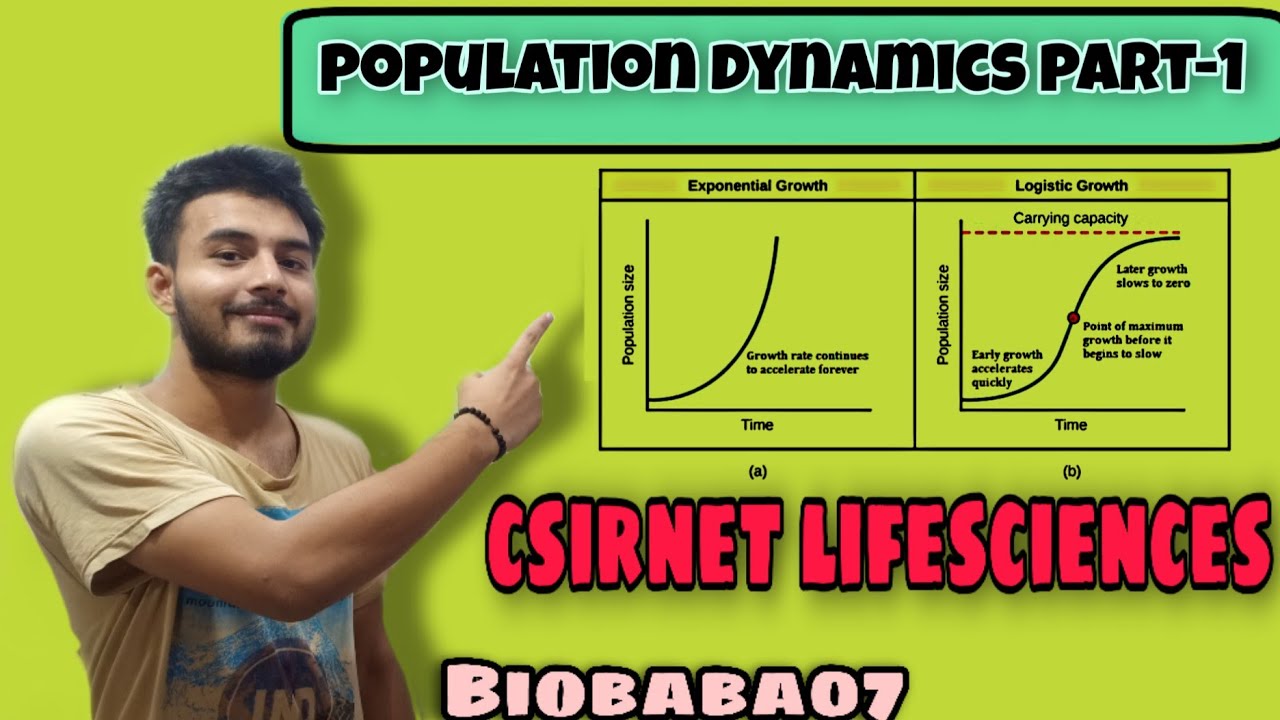 Population dynamics- types of population growth - YouTube
