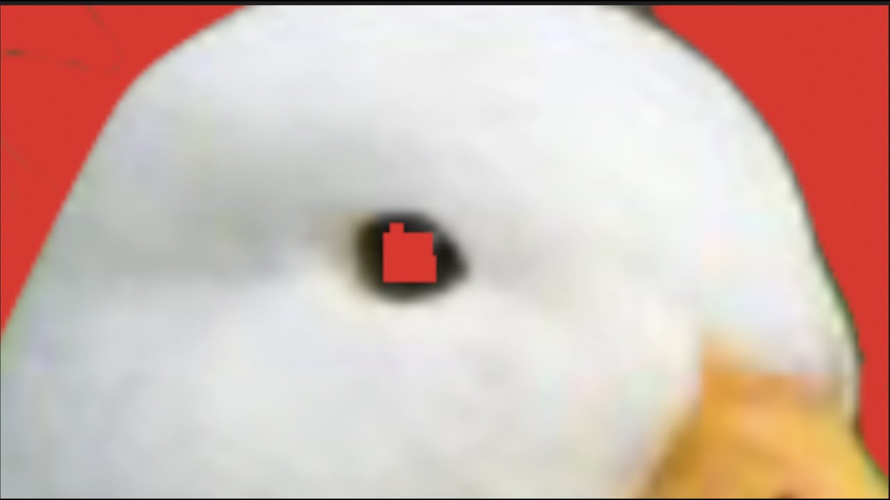 the soviet duck union - YouTube