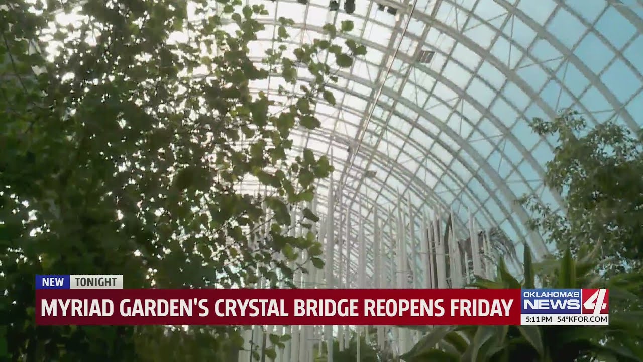 Grand Opening Crystal Bridge - YouTube