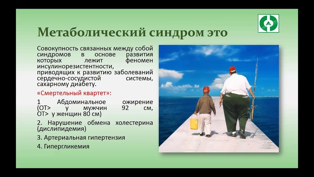 Фитопрепараты Апифарм (хитозан) для снижения веса - YouTube