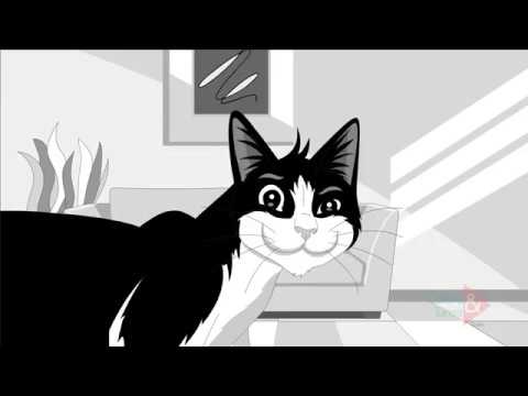 2D Cat Animation for Felix EP3 - YouTube