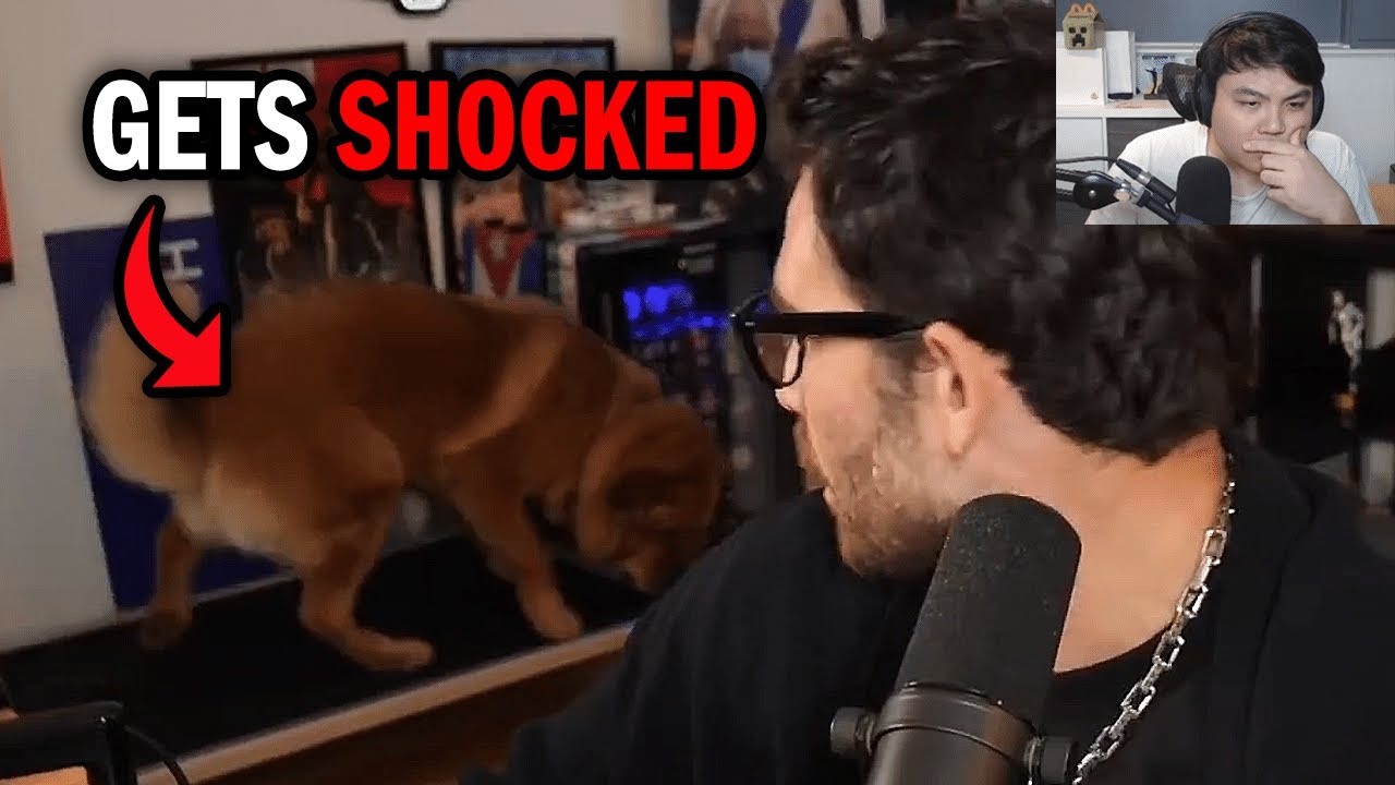 Streamer gets CAUGHT Abusing His Dog - YouTube