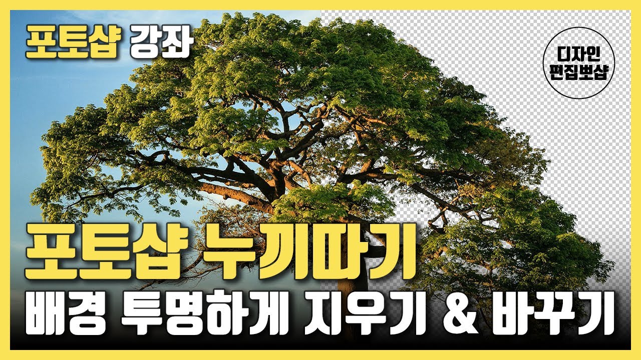 포토샵 강좌 누끼따기 포토샵으로 나무 누끼 깔끔하게 따기 And 배경 바꾸기 Youtube