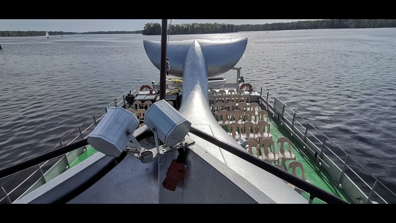 50 Jahre MS Moby Dick - Jubiläumsfahrt - YouTube