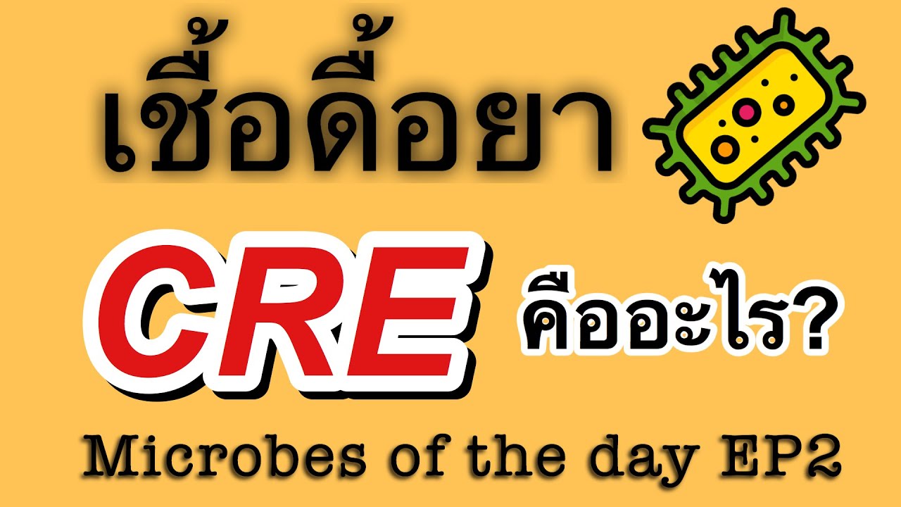 เชื้อดื้อยา CRE Microbs of the day EP.2 - YouTube
