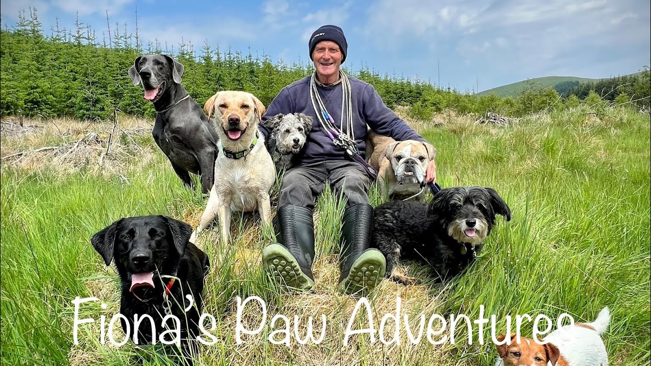 Fiona’s Paw Adventures - YouTube