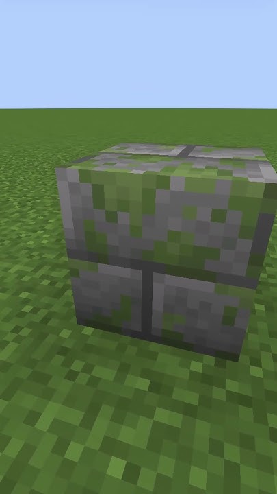 What are the Most Overlooked Minecraft Blocks???🧐 #minecraft #facts # ...