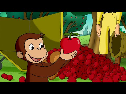 ¡Jorge escoge la manzana perfecta! 🍎🧃 | Jorge El Curioso En Español