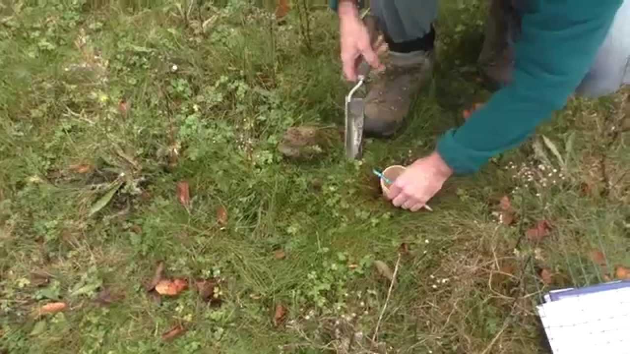 Field Work: Pitfall Trap Set-Up Part I - YouTube
