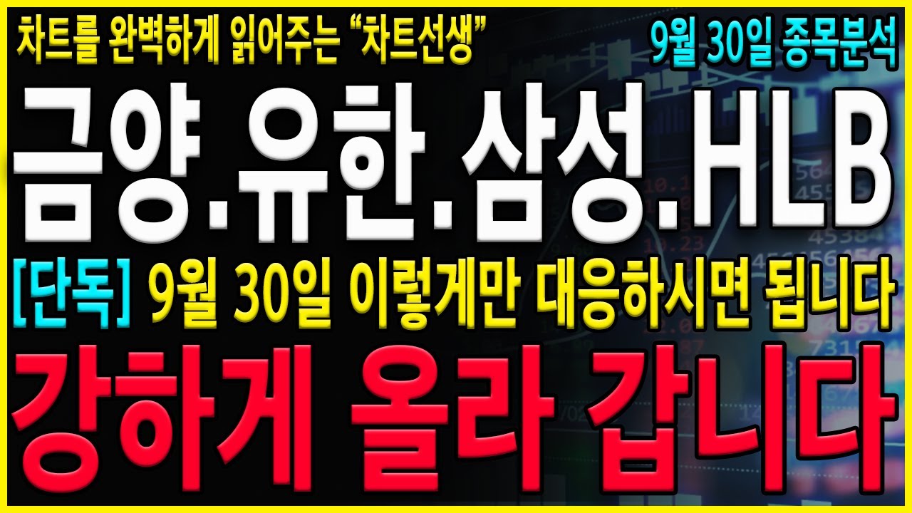 [금양 유한양행 삼성전자 HLB 에이치엘비] "긴급" 오늘부터 반드시 이렇게만 대응하시면 됩니다. 세력들은 지지선에서는 급등시킬 수 밖에 없습니다! #hlb#hlb목표가 ...