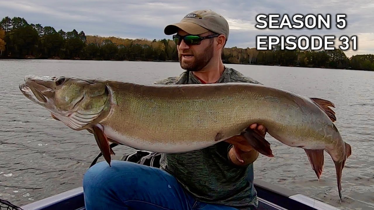 My FATTEST October Musky in Northern Wisconsin! S5.E31 - YouTube