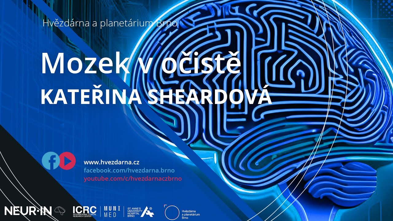 Kateřina Sheardová, Mozek v očistě: Digitální demence a jak detoxikovat mozek - YouTube