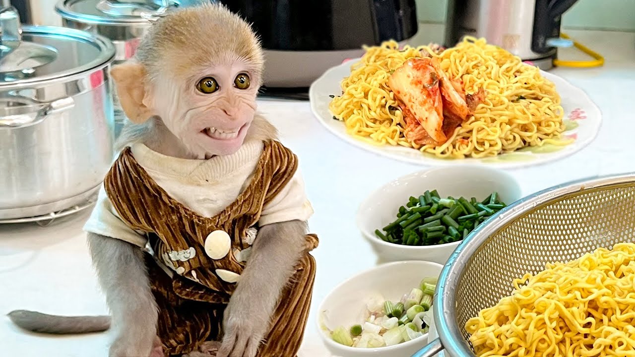Monkey Mon Learned Stir Fried Noodles From Dad! - YouTube