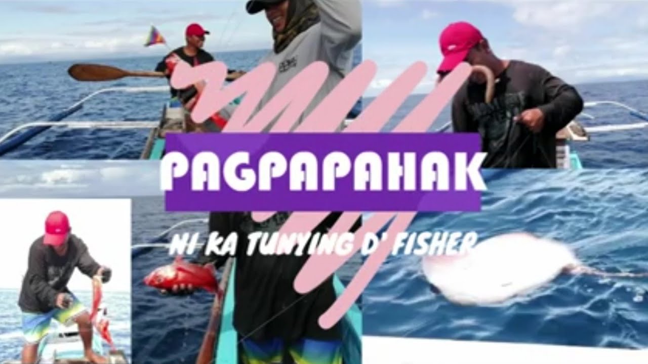 Panghuhuli Ng Pahak Gamit ang kitang (Pang Export na isda)... - YouTube