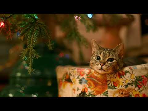 Krzysztof Krawczyk - Cicha Noc Silent Night