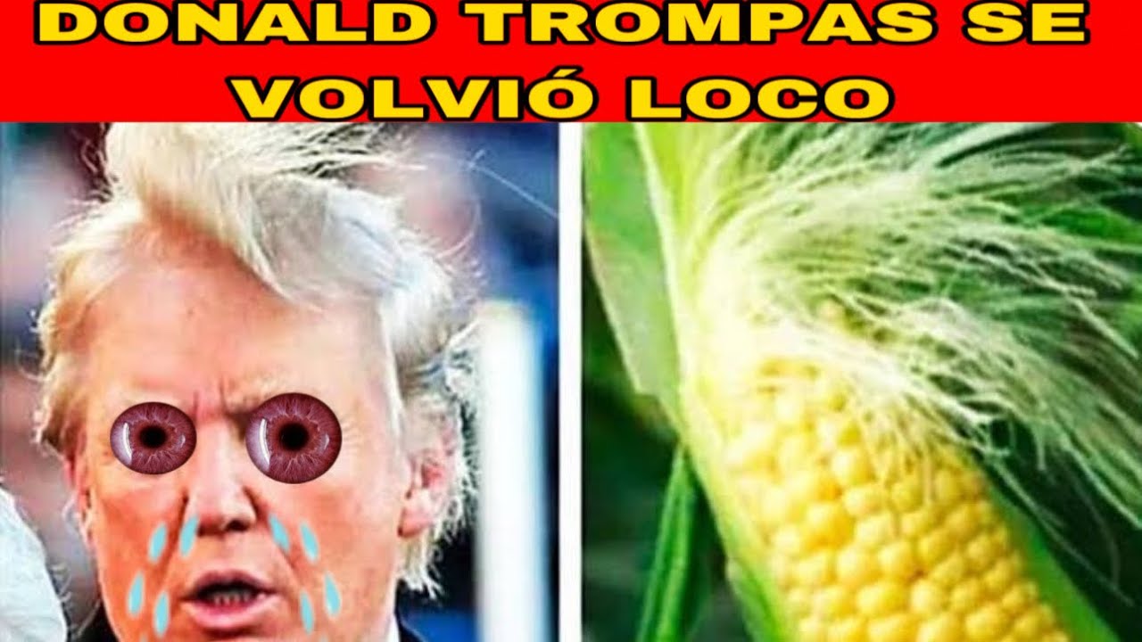 DONALD TROMPAS Y SUS CAMBIOS DE HUMORNOMBRES - YouTube
