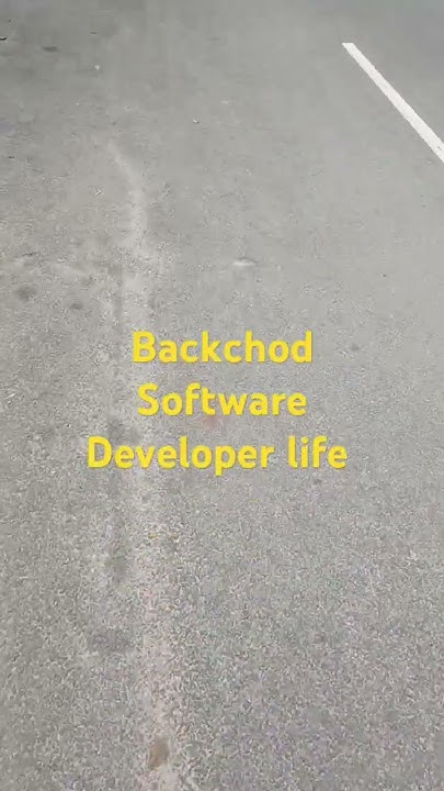 Backchod Software Developer Life #dailyvlog #softwaredeveloper #shorts #shortsfeed #viralvideo ...
