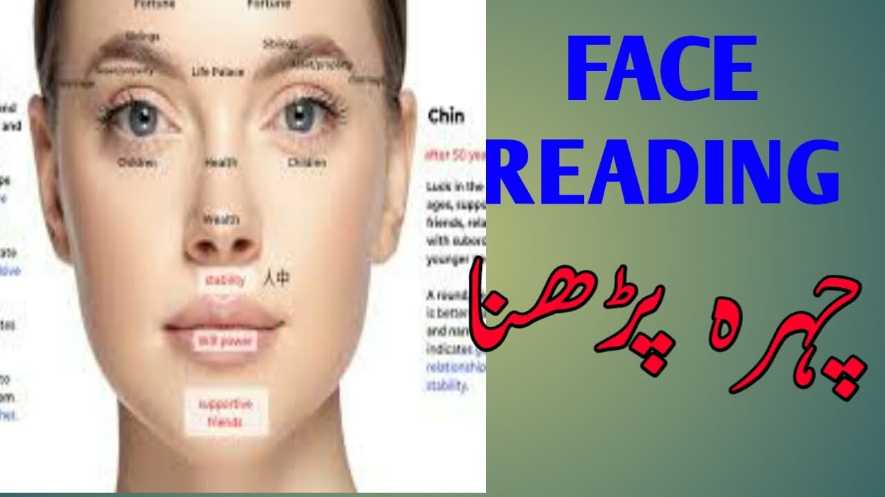 Face Reading Techniques in Urdu Hindi |How To Read EveryOne Face ...