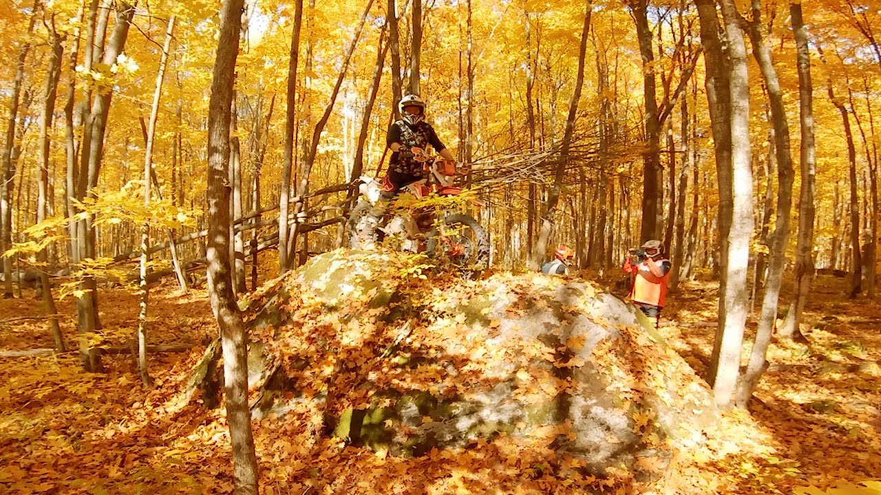 SCORRA - Hendrie and Phelpston - Autumn is beautiful and bikes are fun ...